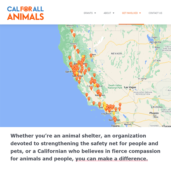 Get Involved - California for All Animals
